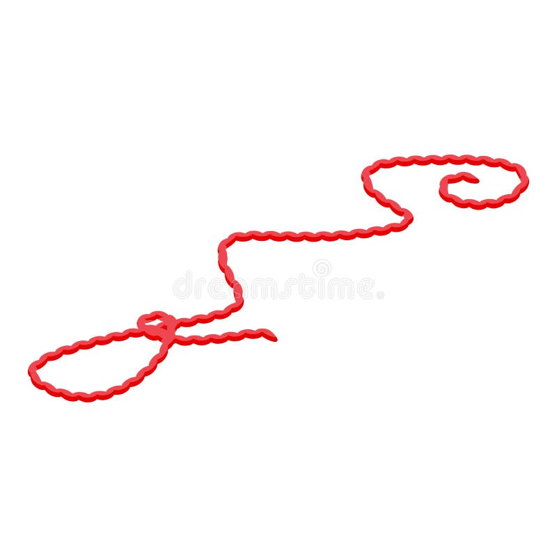 Lasso Icon Vector Sign and Symbol Isolated on White Background, Lasso ...