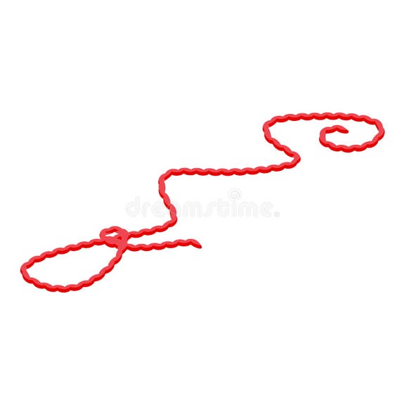 Red Lasso Icon, Isometric Style Stock Vector - Illustration of frame ...