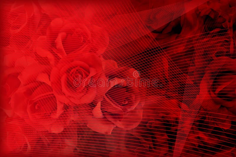 Red Lattice Pattern on Red Rose Flowers and Blur Red Roses Background ...