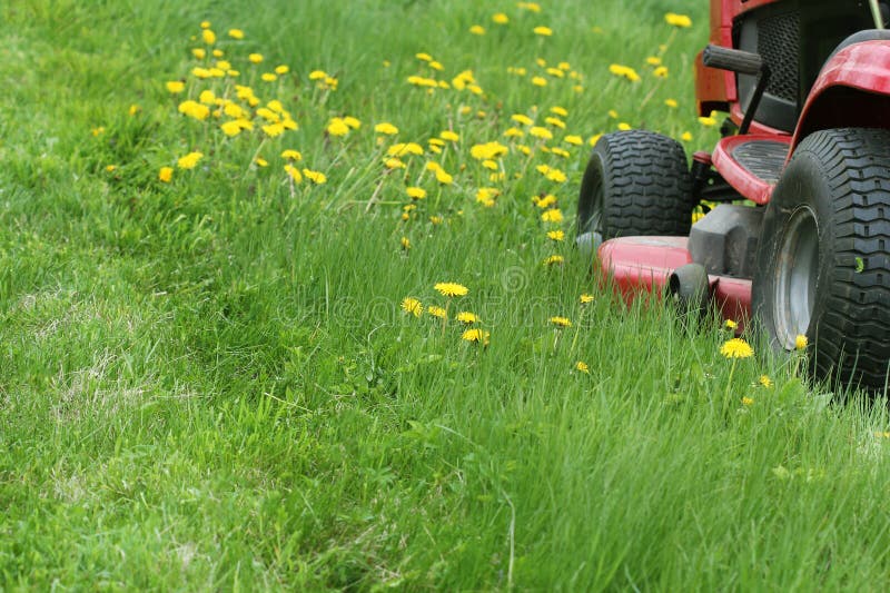 Red Lawn Mower Cutting Grass. Gardening Concept Background Stock Image ...