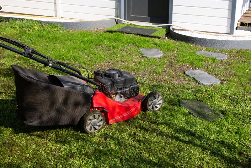 Red Lawn Mower in Home Garden Stock Photo - Image of field, care: 145865910