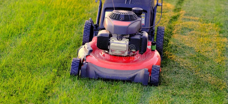 Red Lawn Mower in Lush Green Grass Mowing Lawn Stock Photo - Image of ...
