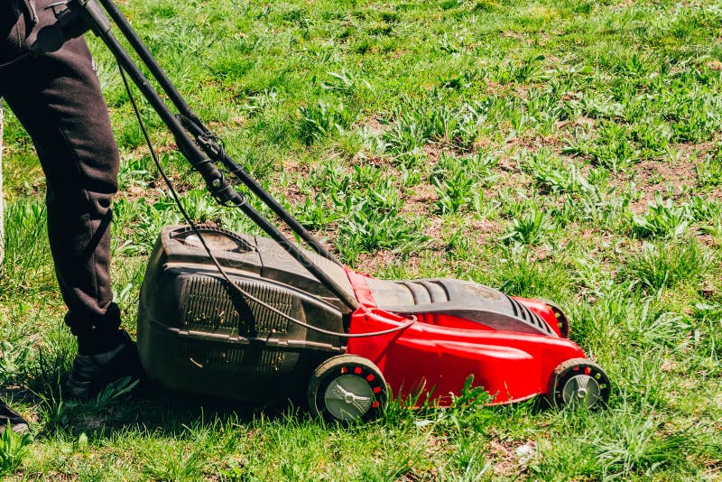 Red lawn mower stock image. Image of mower, motorized - 176047875