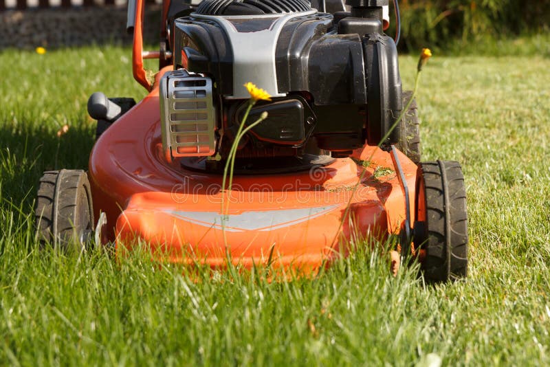 Red lawn mower stock photo. Image of garden, mowing - 125277686