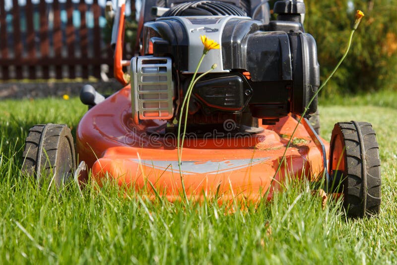 Red lawn mower stock photo. Image of garden, mowing - 128875666