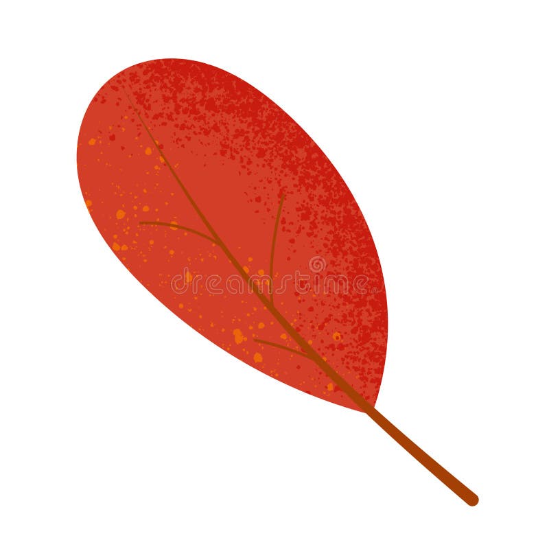 Dry Autumn Red Leaf with Grain Texture. Flat Illustration Stock Vector ...