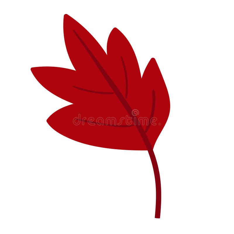Red Leaf Isolated on White Background. Vector Illustration Stock Vector ...