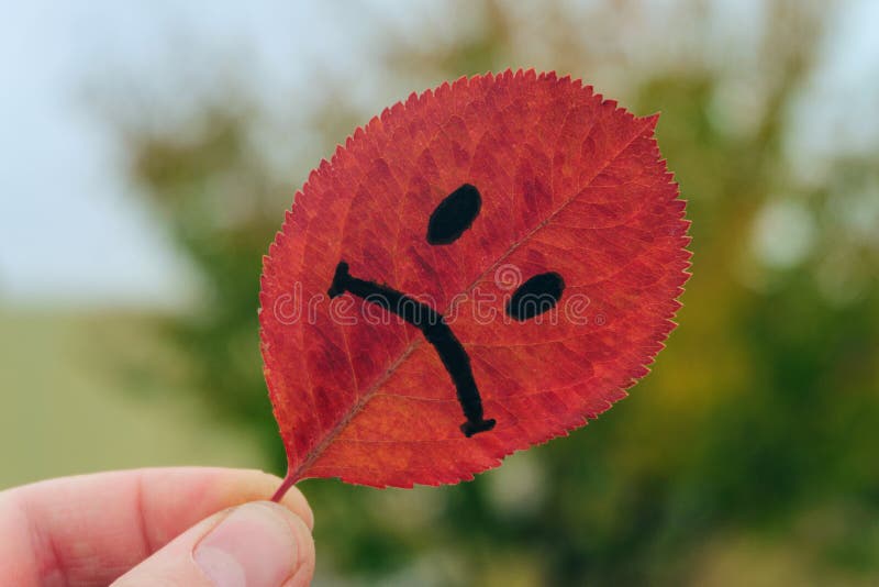 Leaf with Painted Sad Face and Leaf with Inscription Text - I Don`t ...