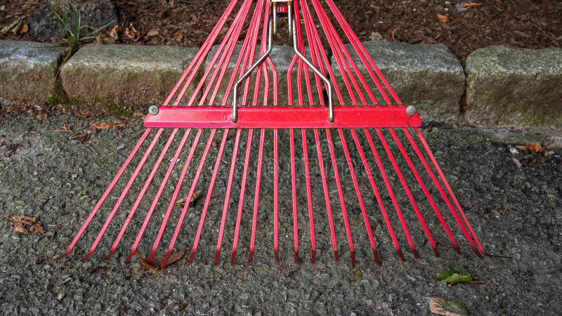 Red Leaf Rake Close Up Otside Stock Photo - Image of tool, tools: 255892710