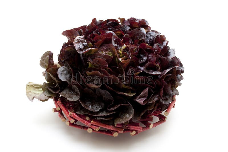 Red leafy vegetables stock photo. Image of leafy, food - 23837952