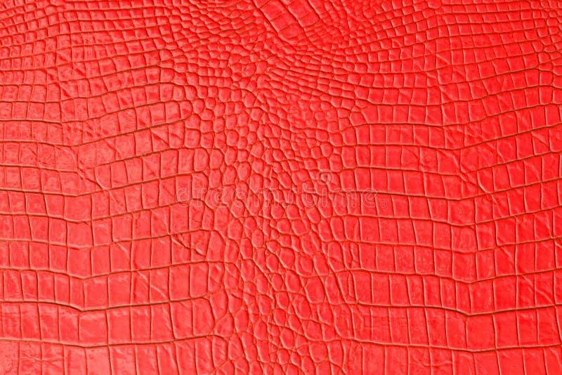 Red Crocodile Leather Texture Background Stock Image - Image of cowhide ...