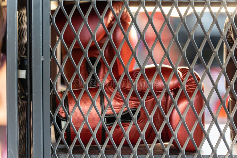 Red Leather Boxing Gloves Enclosed Inside a Box with Iron Grill Stock ...