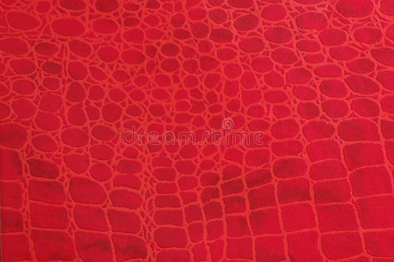 Red leather texture stock photo. Image of leather, skin - 2005334