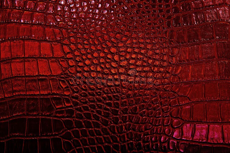 727 Red Leather Texture Crocodile Skin Background Stock Photos - Free ...