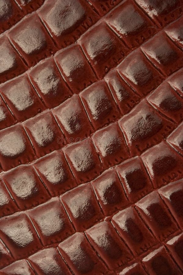 Red Leather Texture (crocodile Patterns) Picture. Image: 8449740