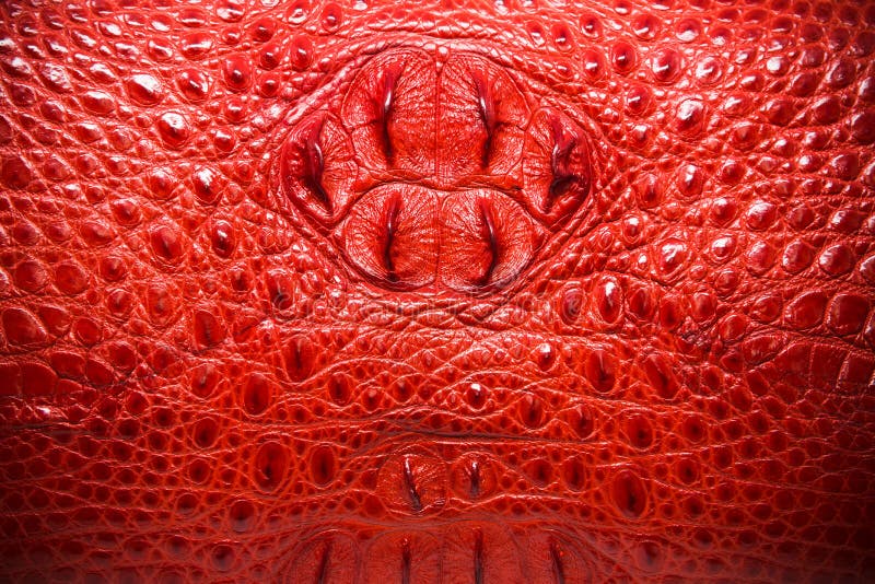 Red Leather Texture, Crocodile Skin Background. Stock Image - Image of ...