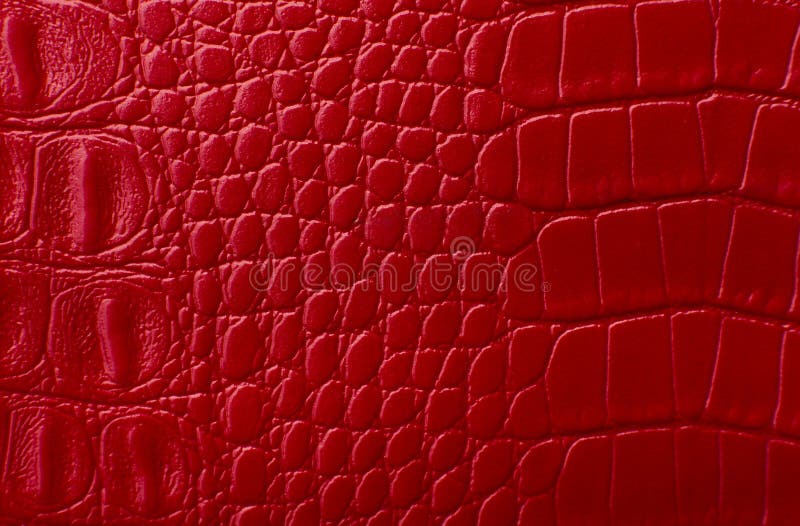 Texture of Print Fabric Striped Zebra and Leopard for Background Stock ...