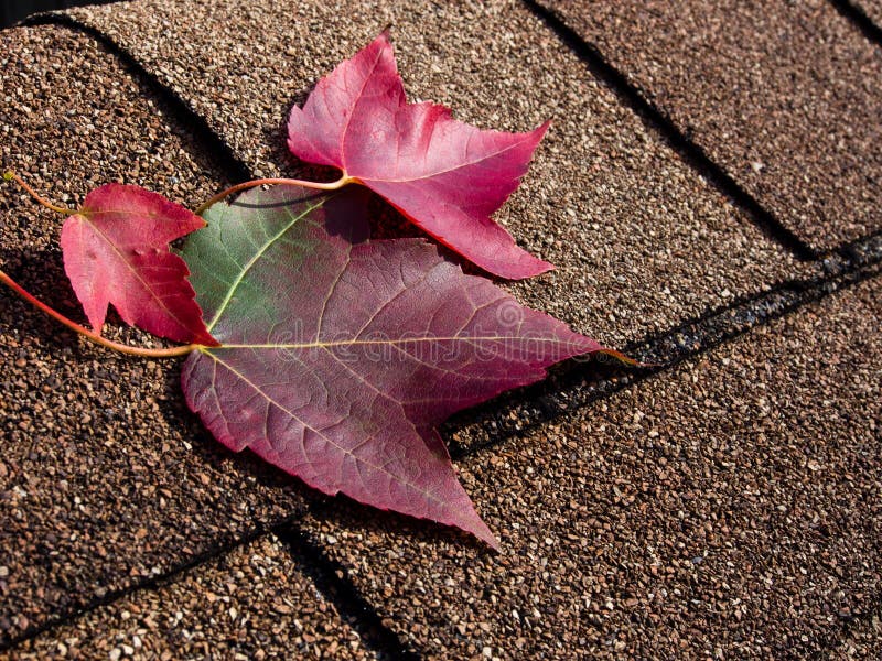 Red Asphalt Shingles on House Stock Photo - Image of texture, shingles ...