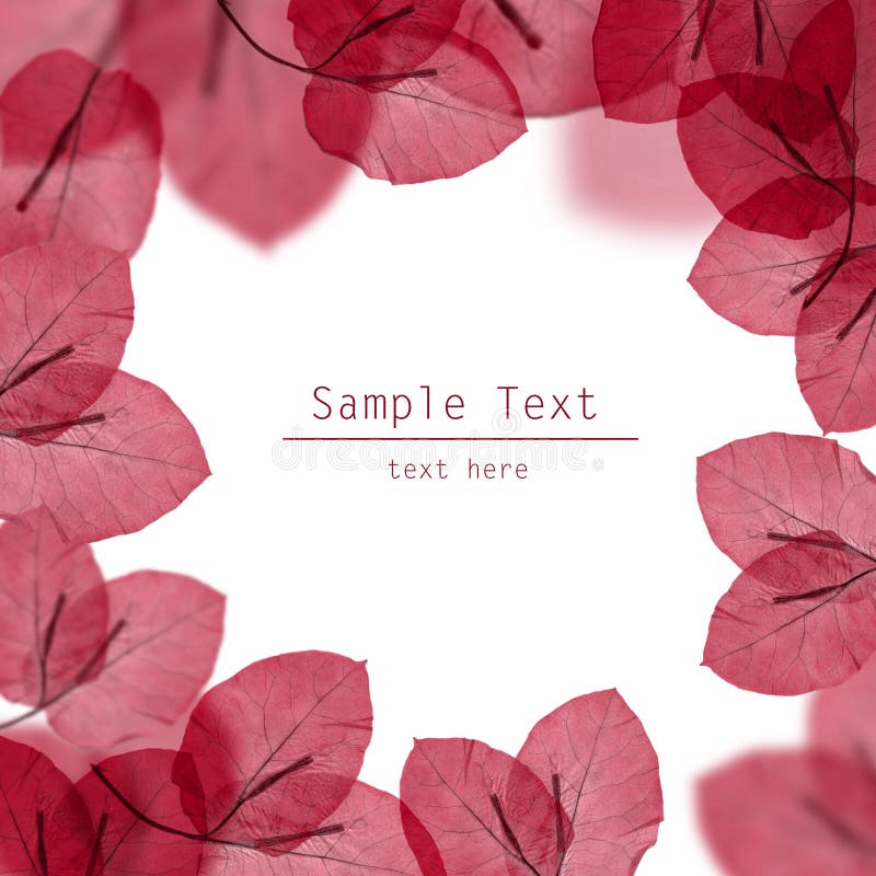 Season Flower Spring Border Stock Vector - Illustration of branches ...