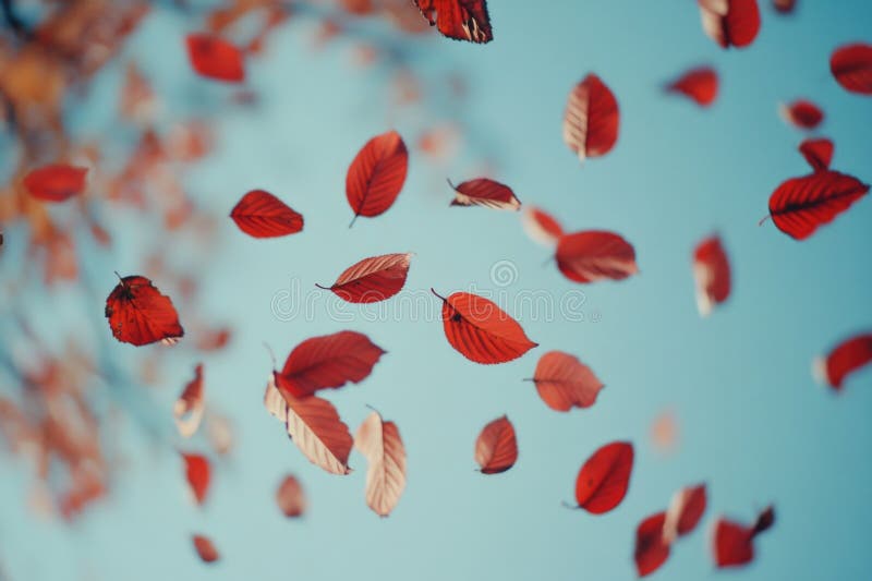 Red leaves flying stock illustration. Illustration of seasonal - 387901450