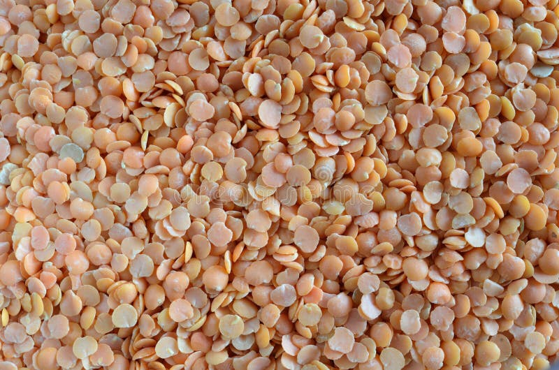 Red Lentil stock photo. Image of living, nutrition, crop - 22555146