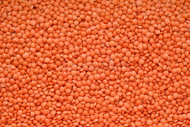 Raw red lentil beans stock photo. Image of closeup, orange - 152313832