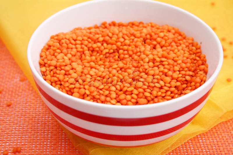 Red lentils stock image. Image of lentils, lentil, rosemary - 8284293
