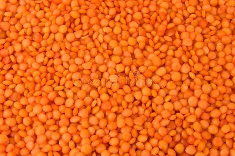 Red lentils stock photo. Image of close, ingredient, soups - 14273048