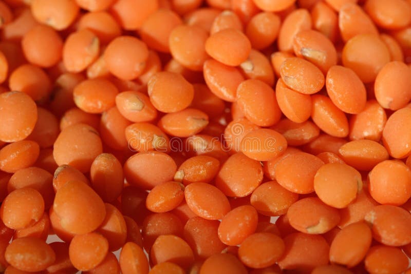 Red Lentils stock photo. Image of agriculture, thick, curry - 1755556