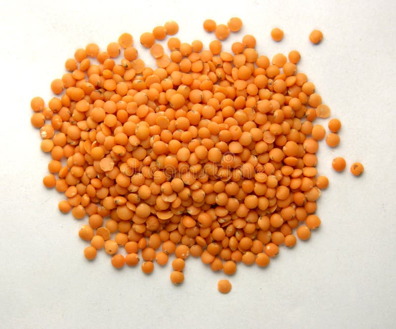 Red lentils stock image. Image of tasty, creamy, thick - 611459