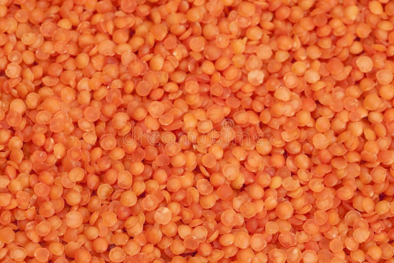 Red lentils stock image. Image of lentil, eating, food - 8615881