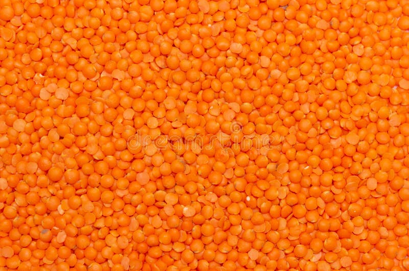 Red Lentils Background, Lentil Pattern, Lentil Texture Top View Macro ...