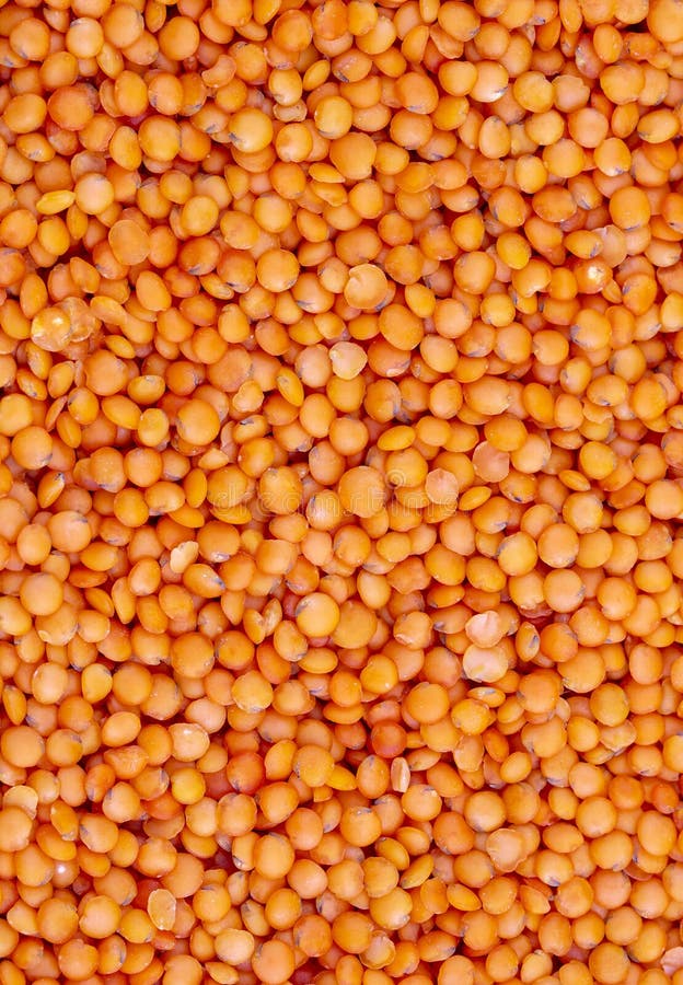 Red Lentils. Lentil Texture, Lentil Pattern, Background, Macro Stock ...