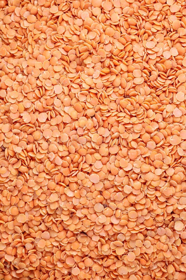 Red Lentils Red Masoor, Masoor Dal.Pile of Lentils Stock Photo - Image ...