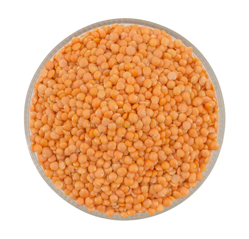 Red Lentils or masoor Dal stock image. Image of freshness - 105599989