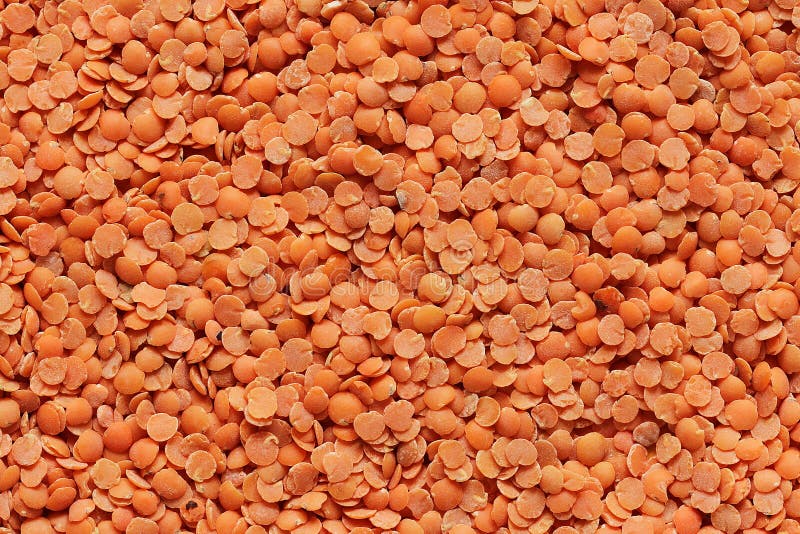 Red lentils texture stock image. Image of natural, nutrition - 107490411