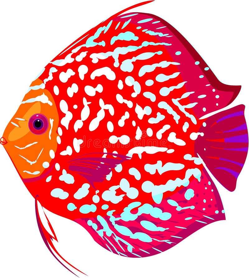 Red Discus Fish Stock Illustrations – 165 Red Discus Fish Stock ...