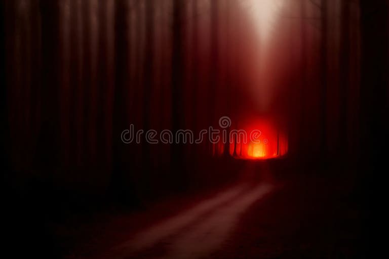 A Red Light in the Middle of a Dark Forest. Generative AI Stock ...