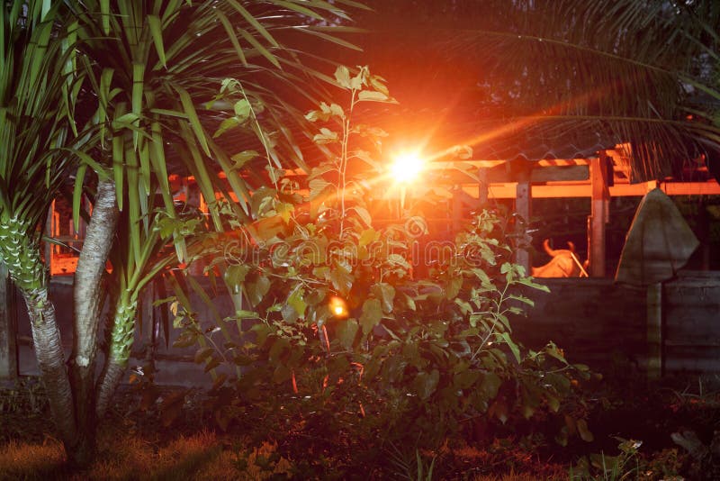 Red Light At Night In Farm With Nature. Stock Photo - Image of nature ...