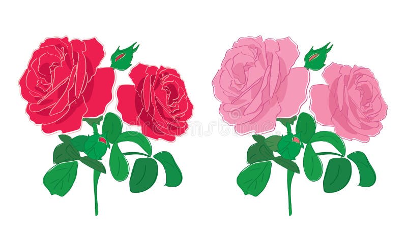 Red and Light Rosy Roses. Vector Set of Beautiful Blooming Flowers ...