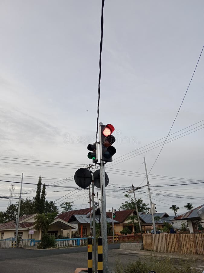 The red light is very long stock image. Image of tree - 268416787