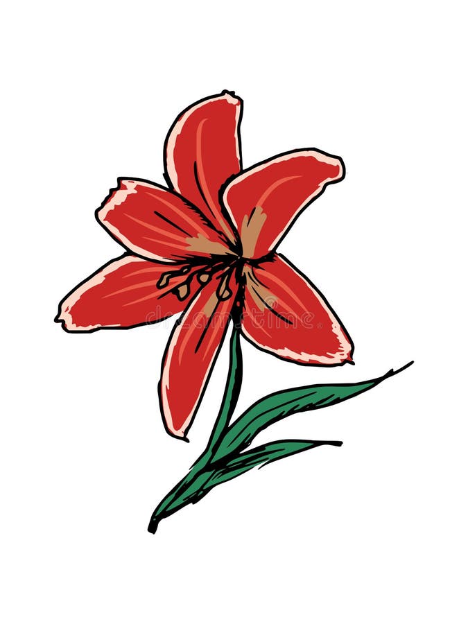 Red lily stock vector. Illustration of meadow, petal - 44595391