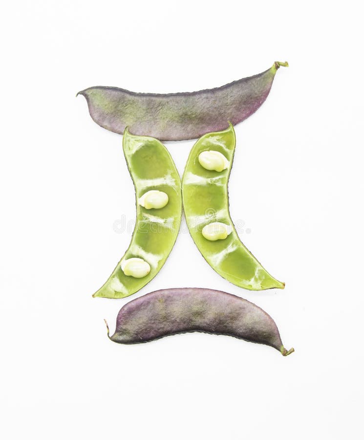 Red Lima Beans or Sheem Isolate on White Stock Image - Image of sheem ...