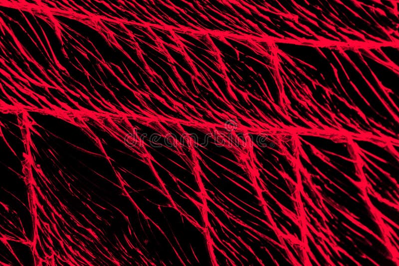 Grunge Texture.Red Lines and Scratches on a Black Background.Abstract ...