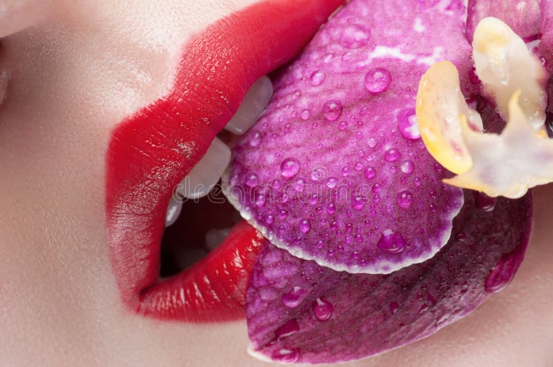 Red Lips on a Background of Lush Roses. Lips and Flower Close-up. Stock ...