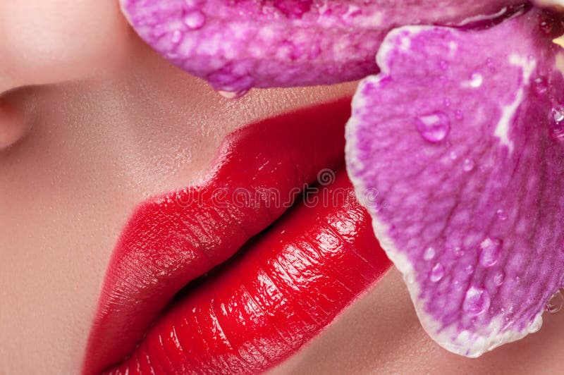 Red lips with berries stock image. Image of luscious - 59350103