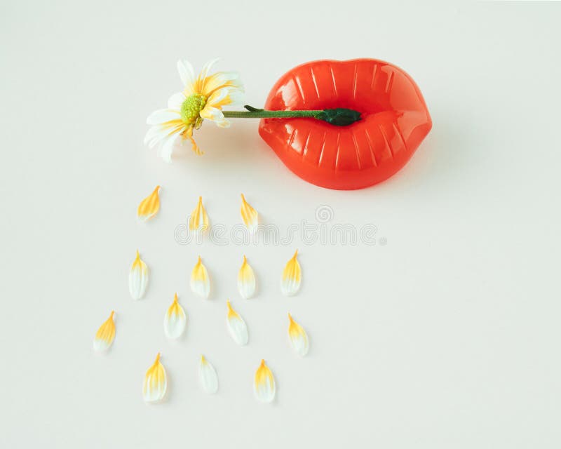 Red Lips Twig with a Flower Whose Petals Fall Off Stock Image - Image ...