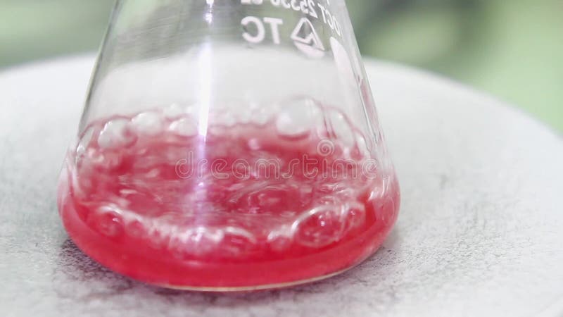 Red Liquid is Bubbling in a Flask Stock Footage - Video of chemistry ...