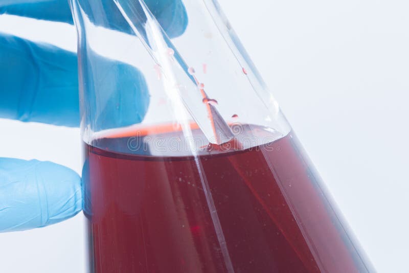 Red liquid in flask stock photo. Image of chemical, pharmaceutical ...