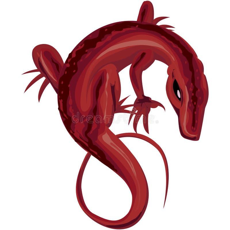 Red Lizard with Clipping Path Stock Illustration - Illustration of ...
